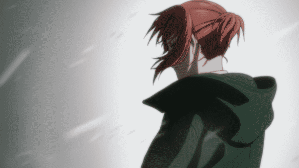 The Ancient Magus' Bride: Selkie