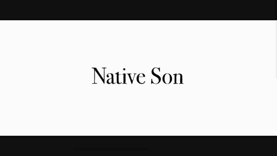Native Son (2019) - Summary, Review (with Spoilers)