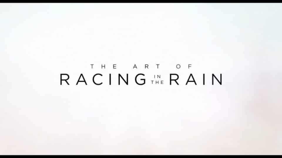 The Art Of Racing In The Rain (2019) - Summary, Review (with Spoilers)