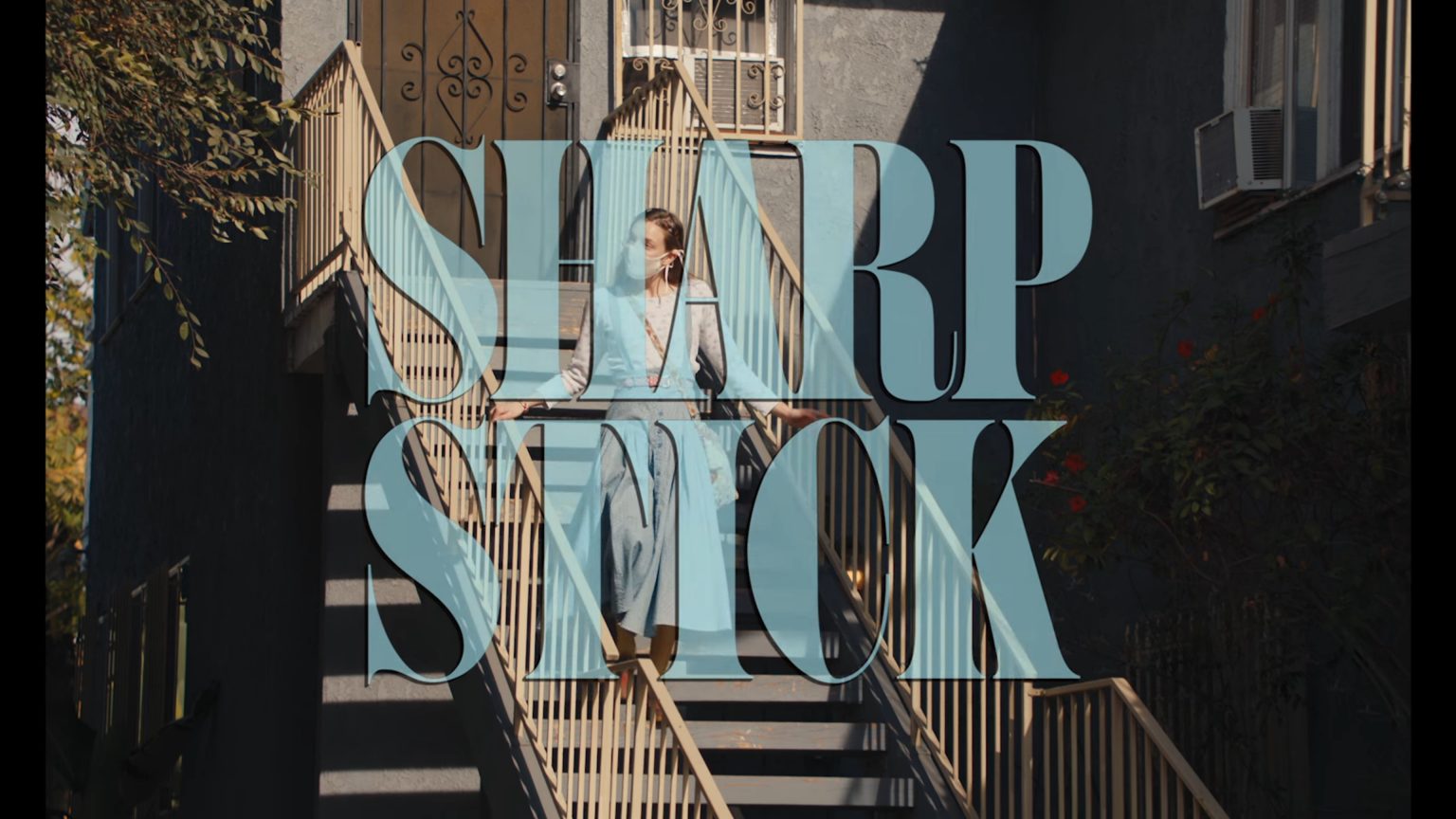 Sharp Stick (2022) - Review/ Summary (with Spoilers)