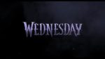 Wednesday Cast & Character Guide
