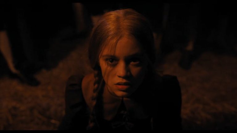 Wednesday Cast & Character Guide