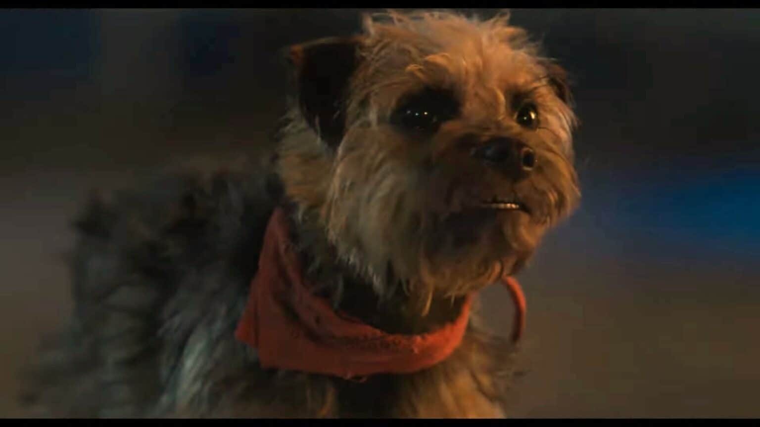 Strays (2023) - Movie Review