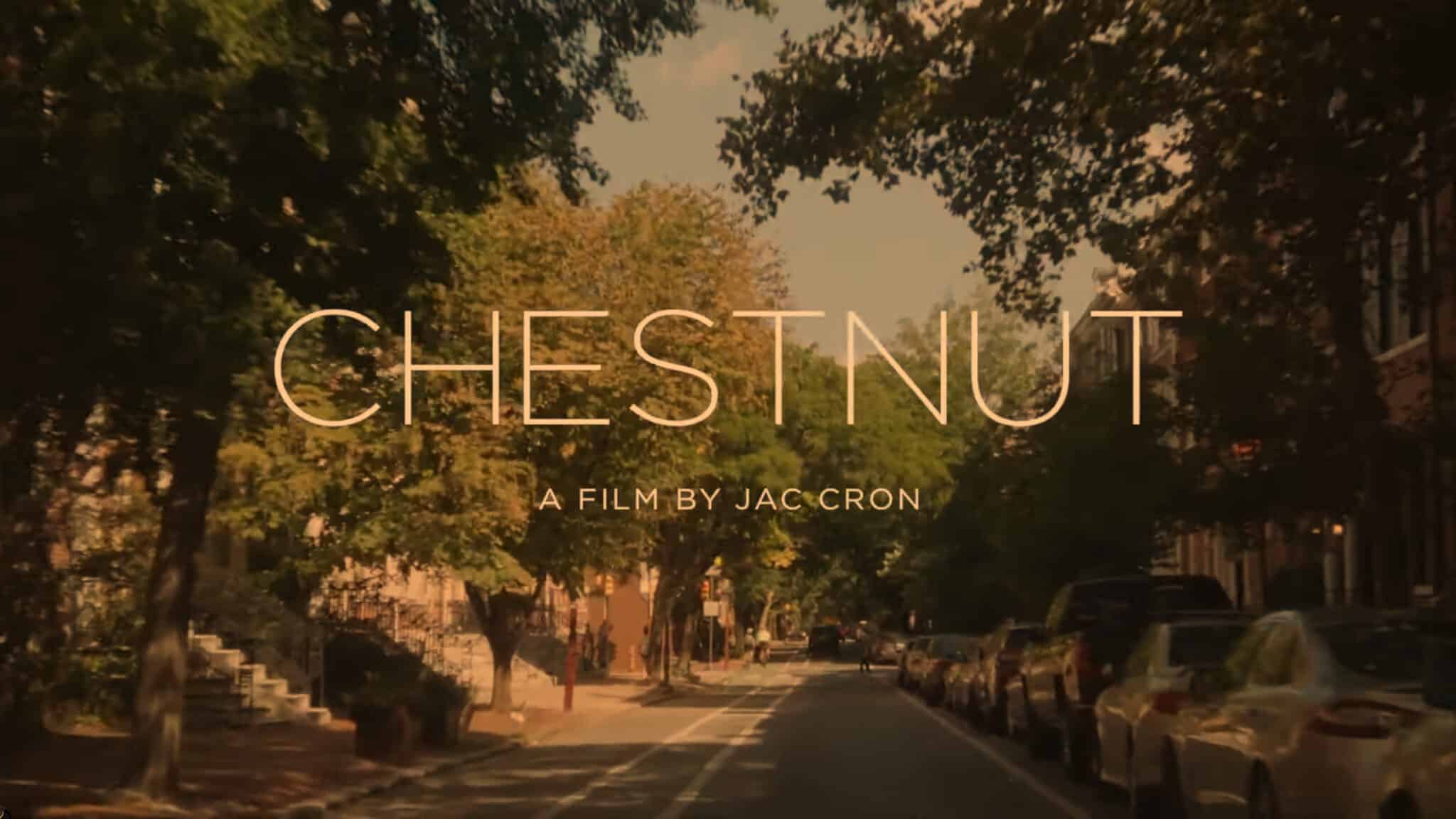 Chestnut (2023) – Review And Summary