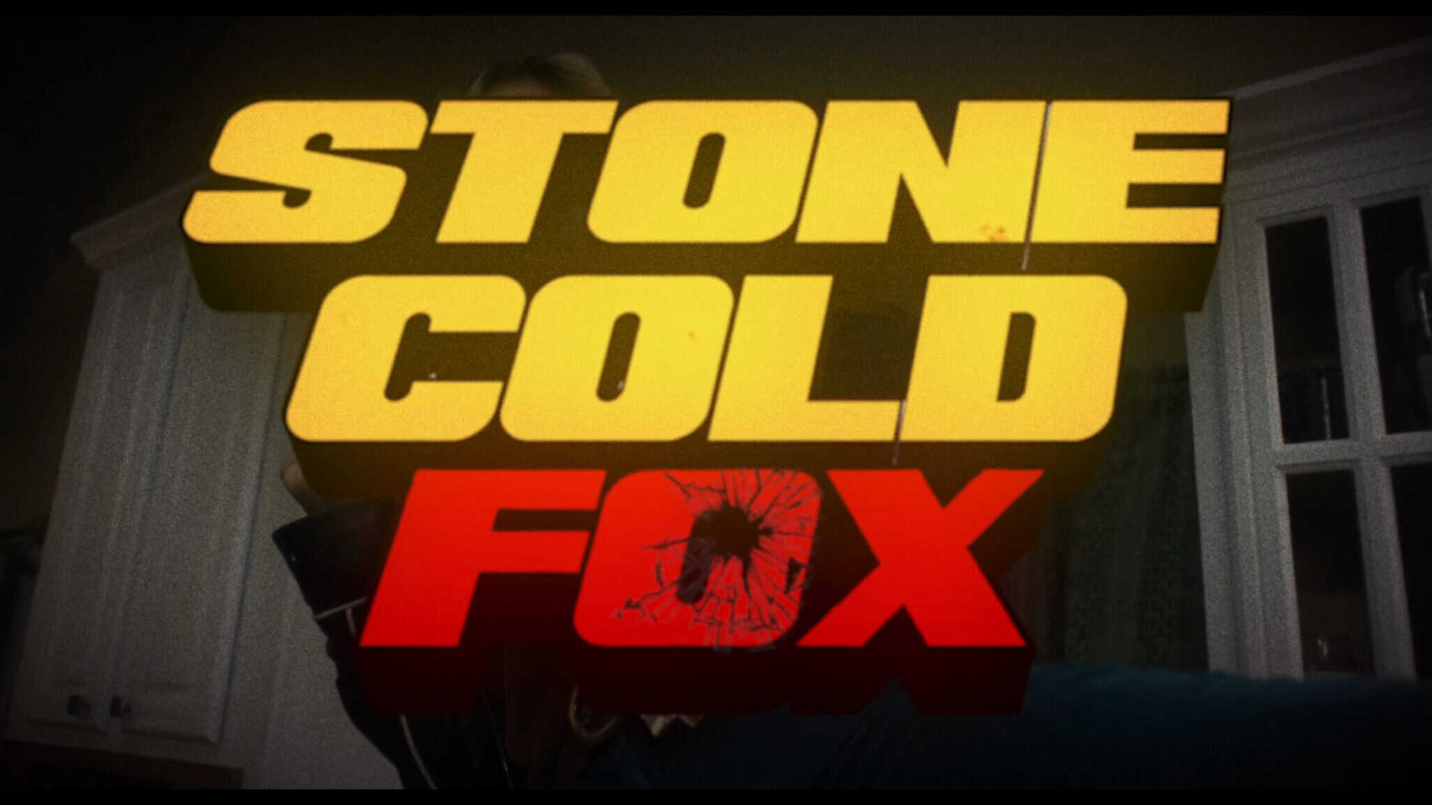 Stone Cold Fox - Review And Summary